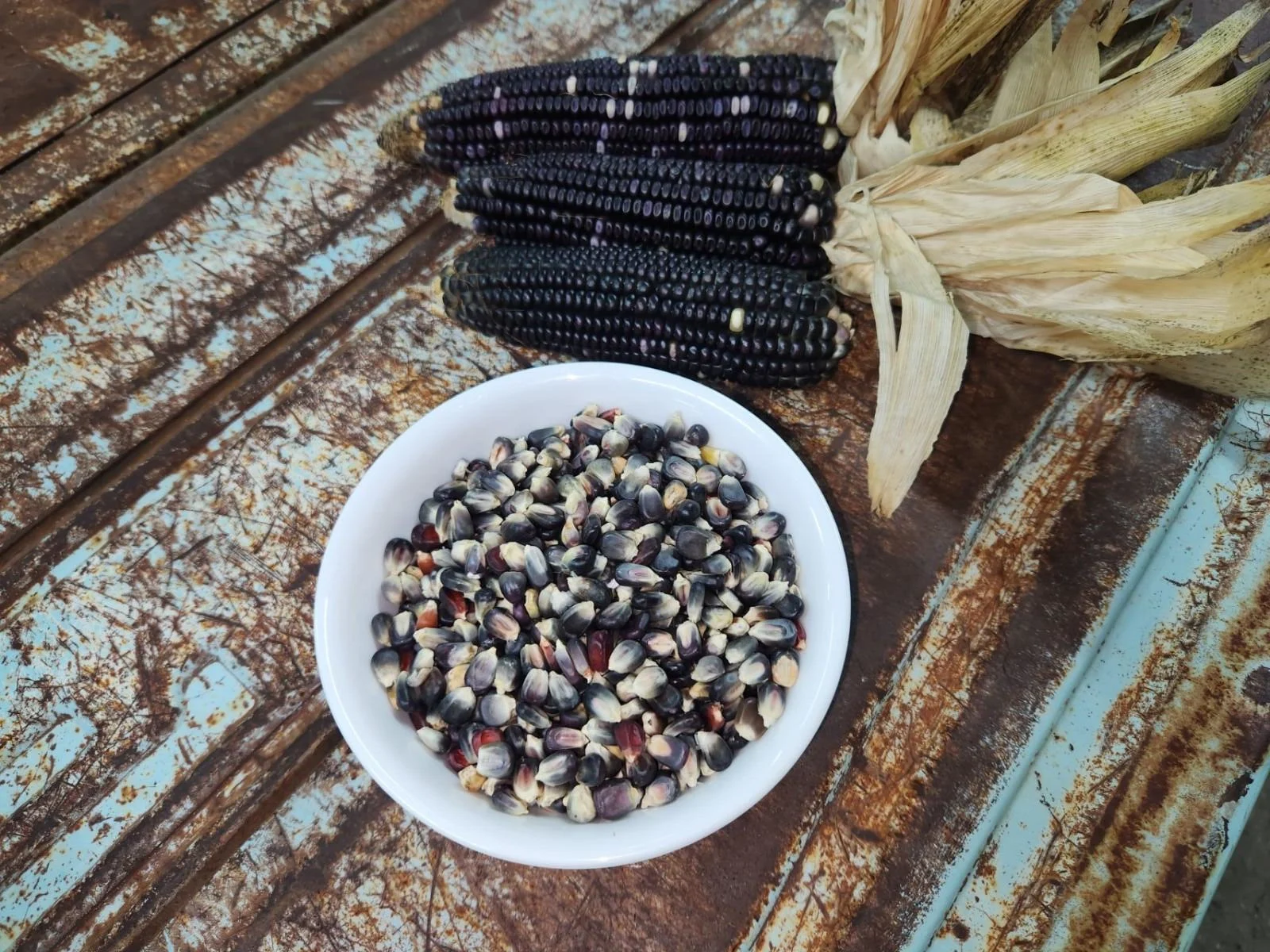 Blue Clarage Heirloom Corn - Briscoe Farms